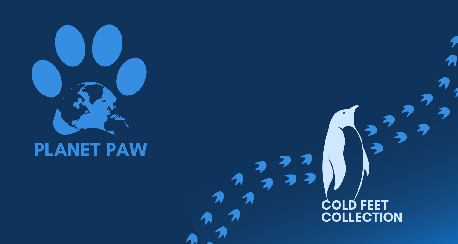 Planet Paw Organisation - Cold Feet Project - Visual Communication