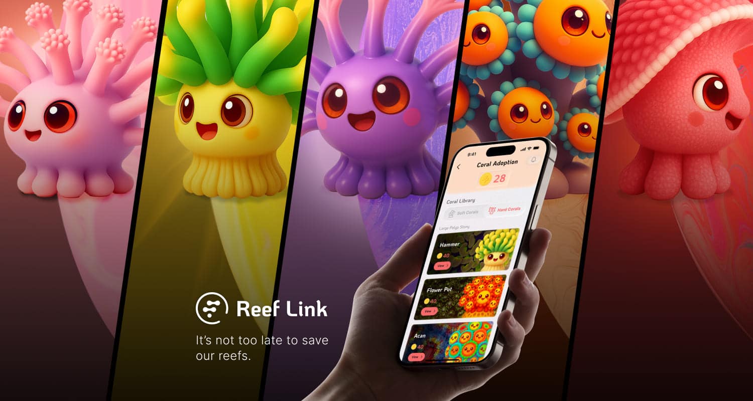 Reef Link - Interaction