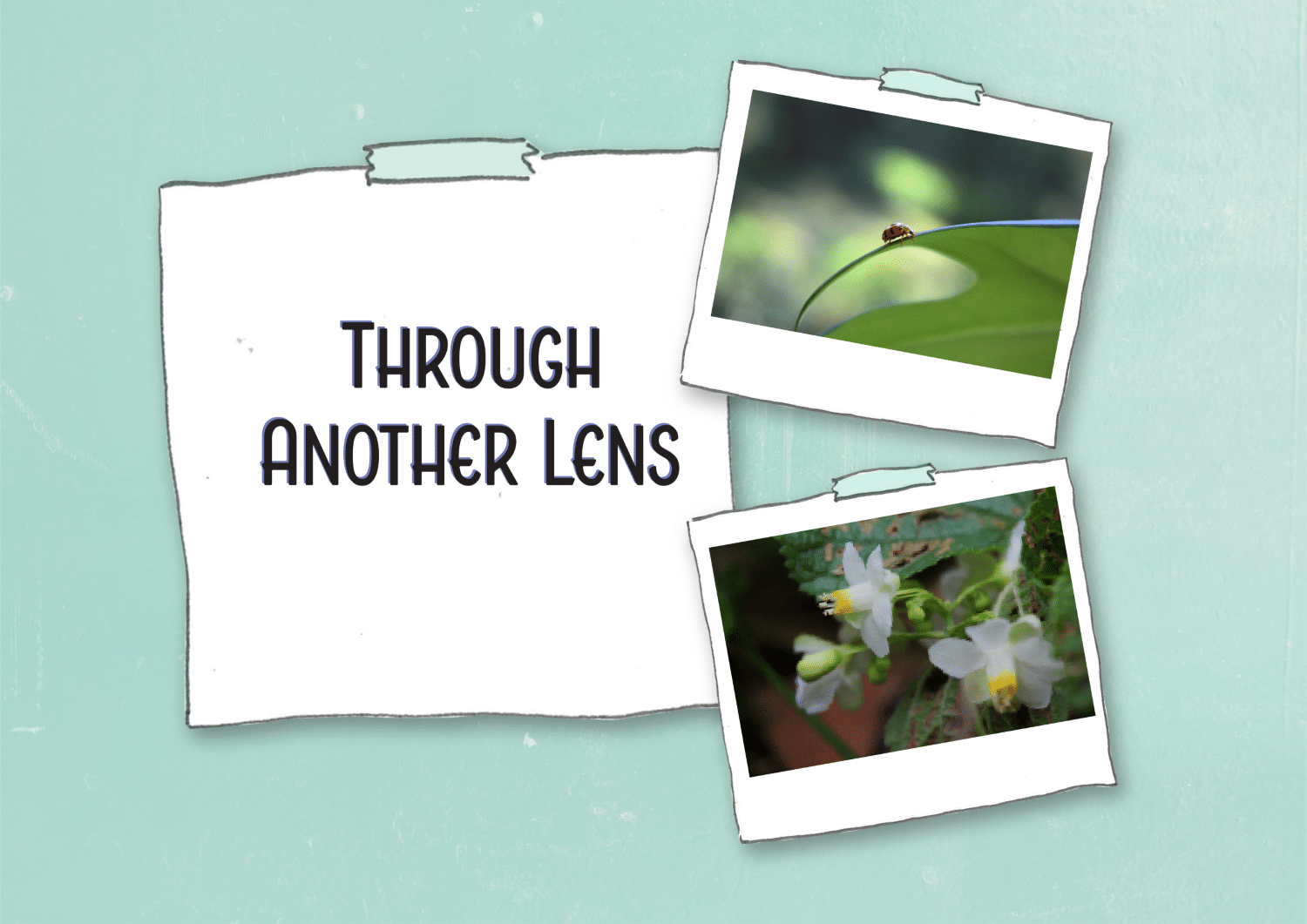 Through Another Lens - Interaction